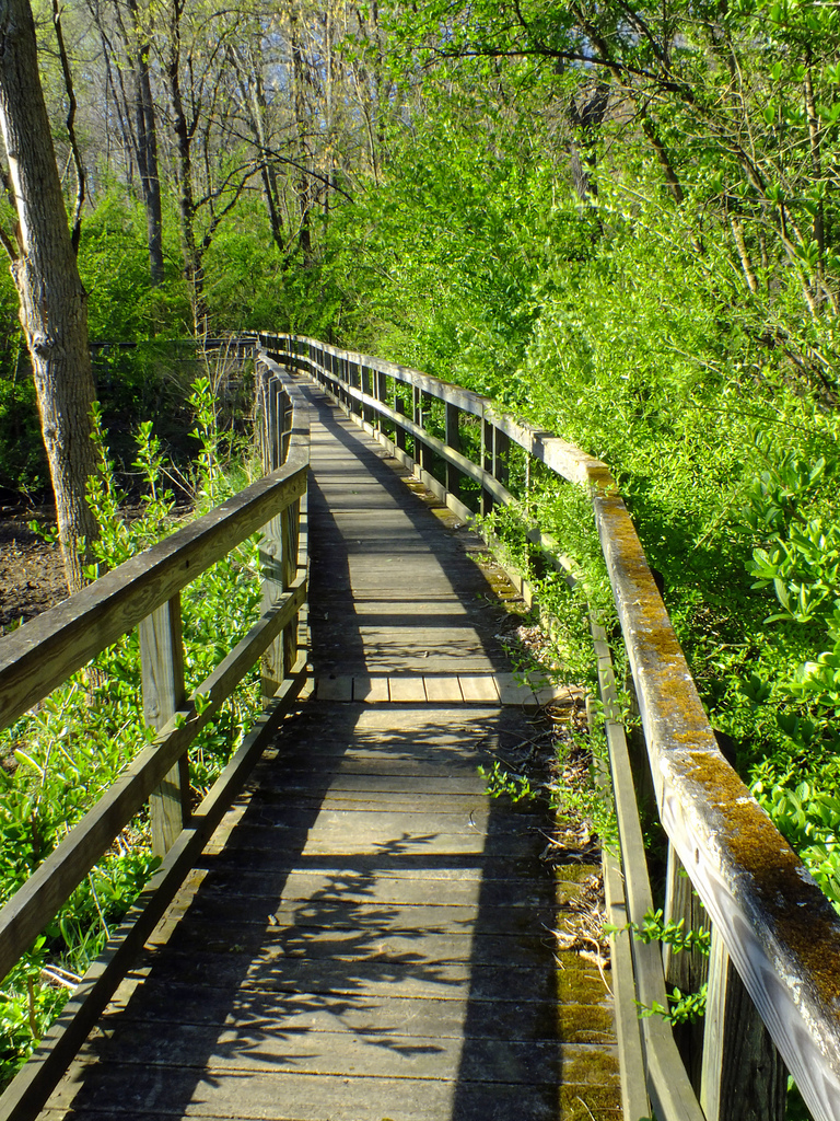 New sensory walking trail gives access to the visually impaired ...